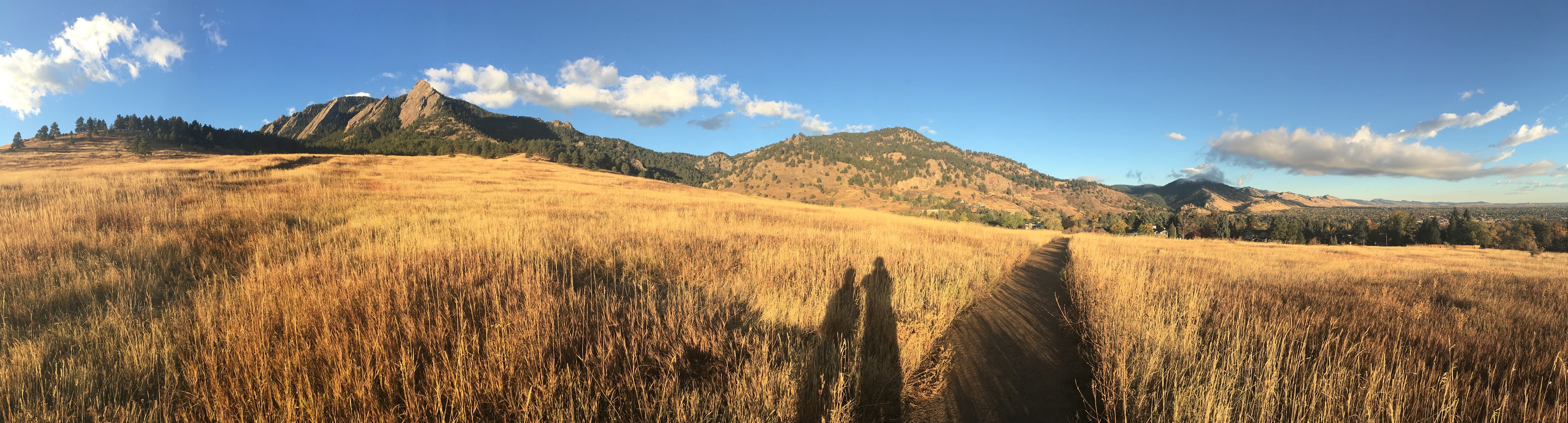 background – Evan Fletcher